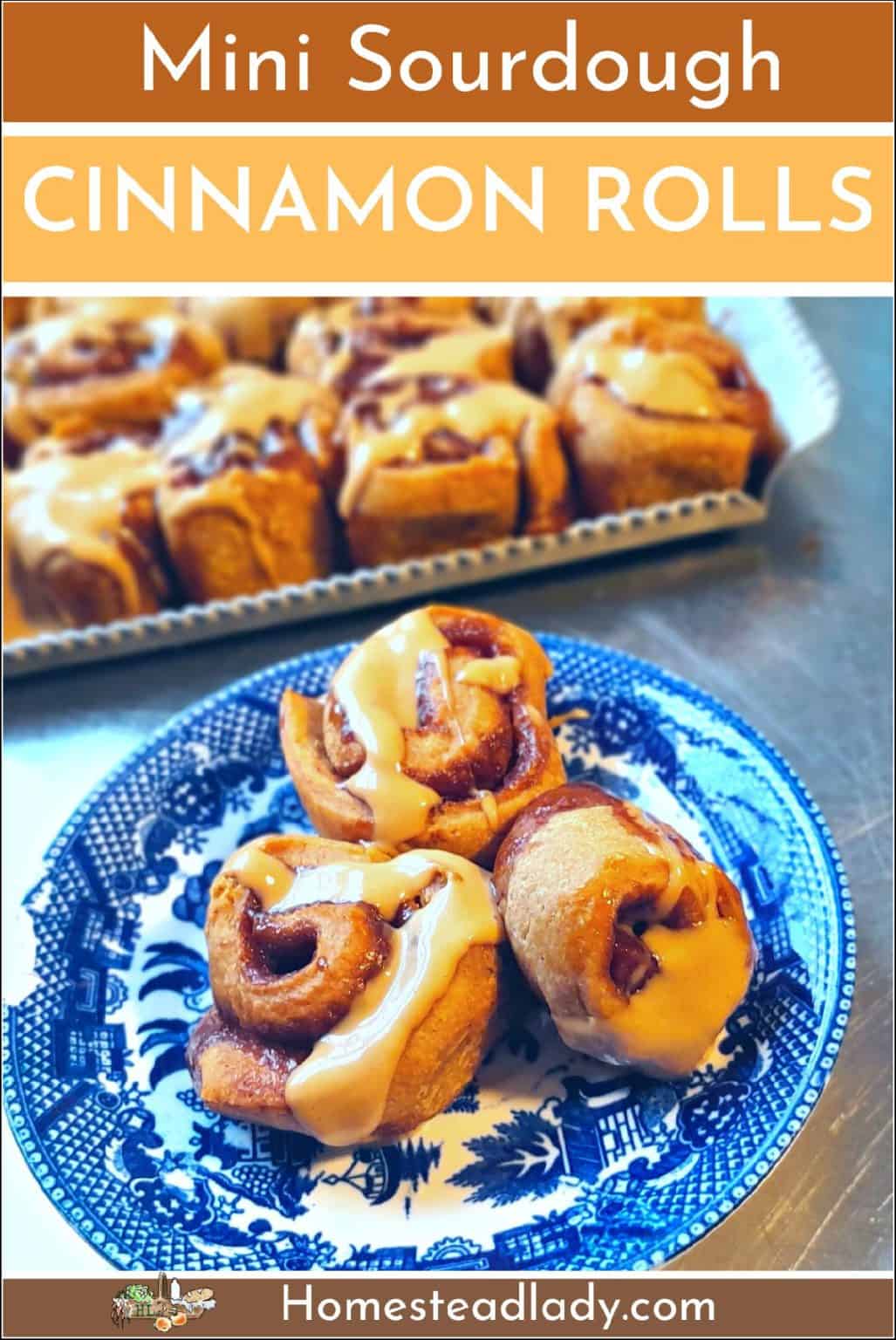 Mini Sourdough Cinnamon Rolls with Caramel Cream Cheese Drizzle ...