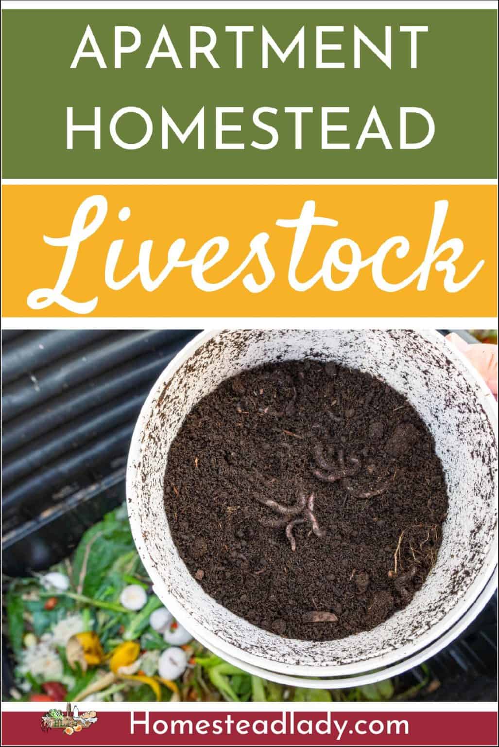 5 Small Livestock Options for Small Homesteads • Homestead Lady