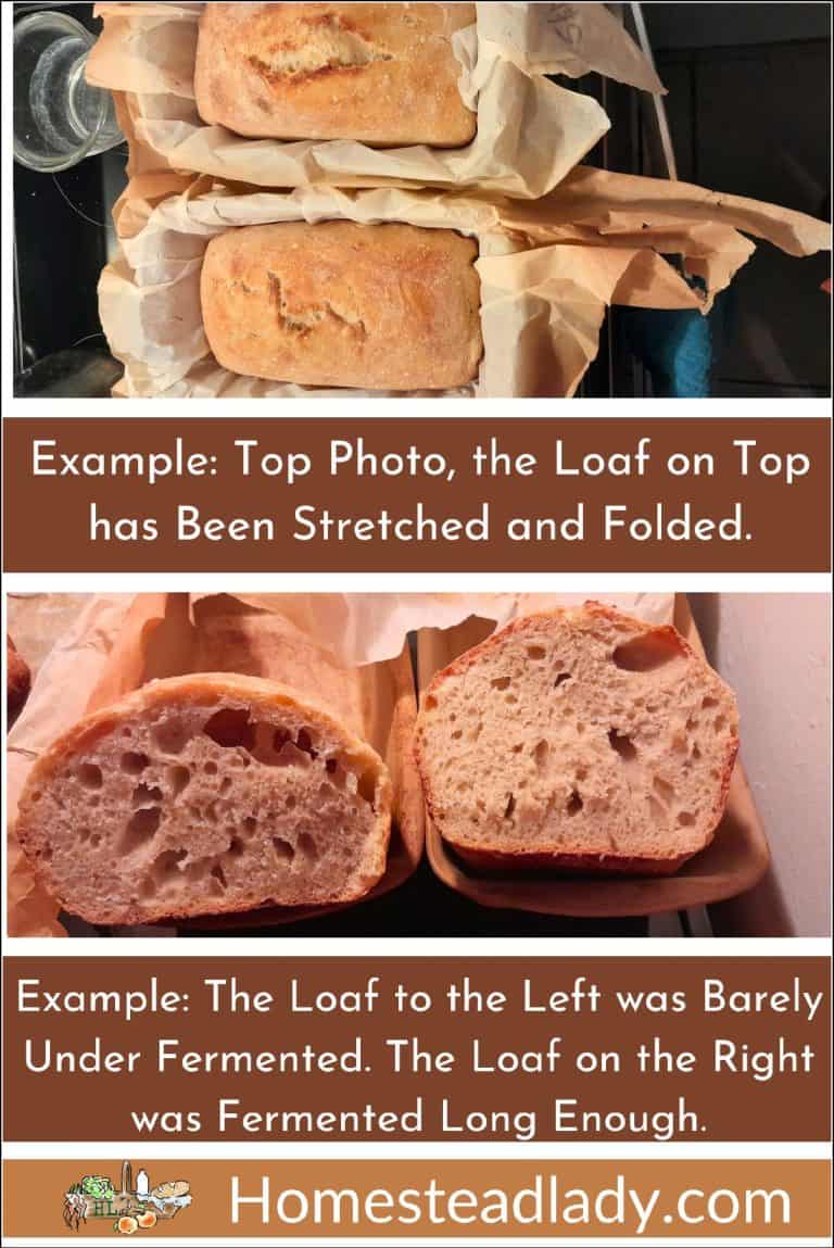 Easy Sourdough Bread (With Active or Unfed Starter) • Homestead Lady