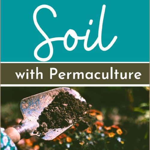 How to Fix Rocky Soil with Permaculture • Homestead Lady