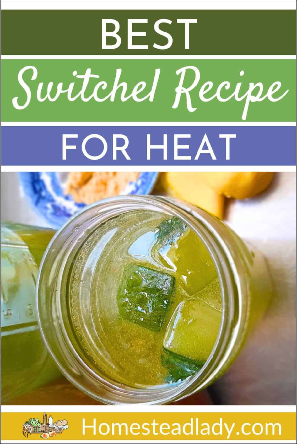 Best Switchel Recipe for Hot Weather • Homestead Lady