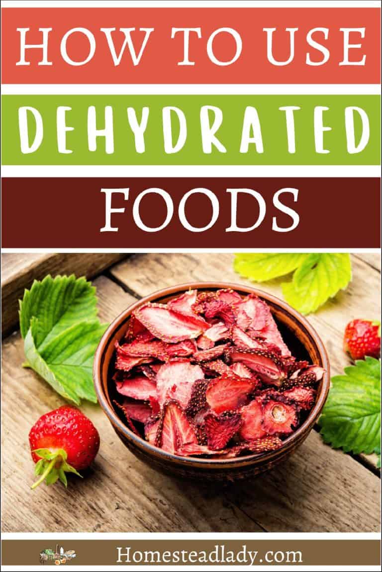 Using Dehydrated Food: Fruits, Veggies, Herbs, More! • Homestead Lady