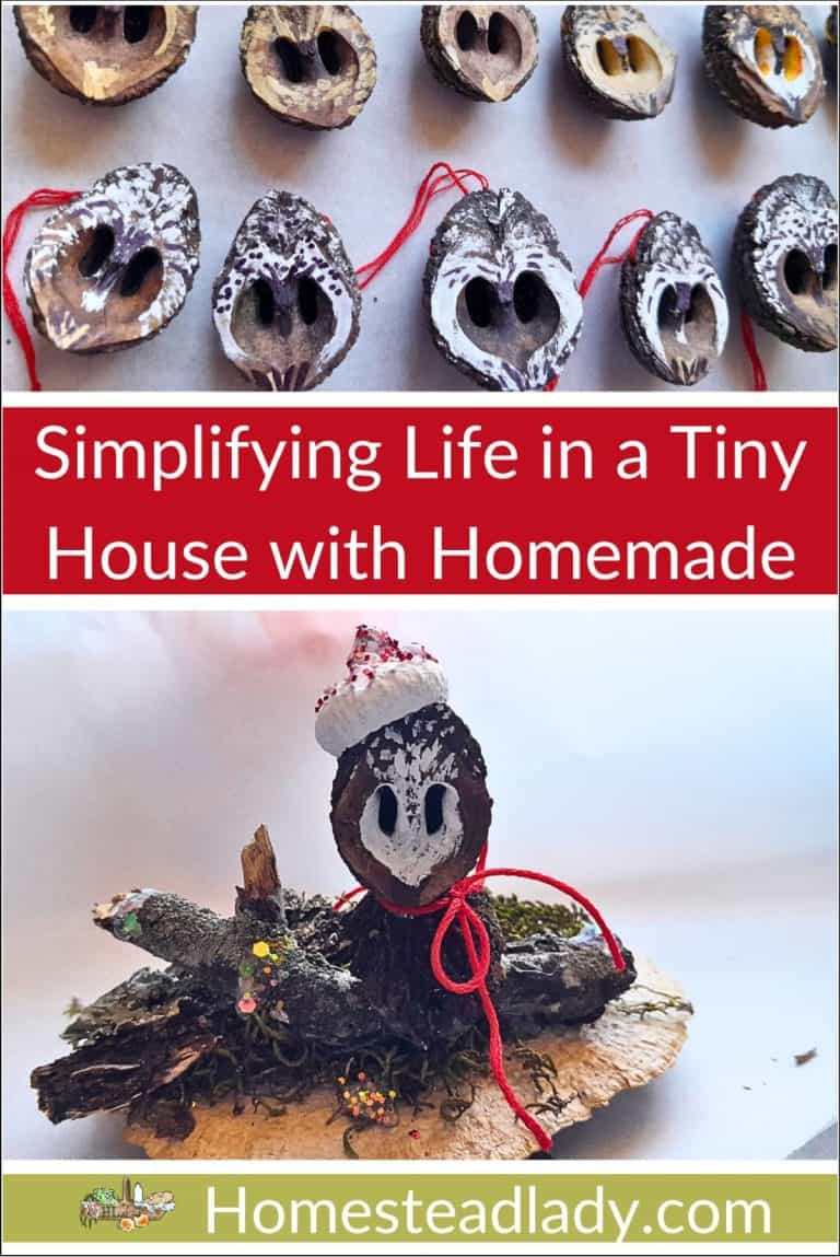 10 Livable Tiny House Tips • Homestead Lady
