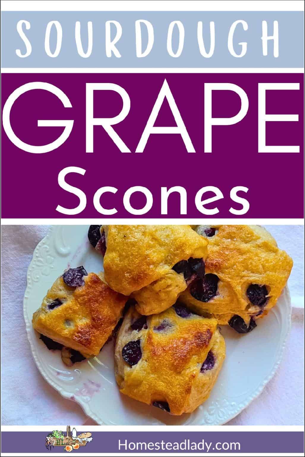 Grape Recipes + Sourdough Grape Scones • Homestead Lady