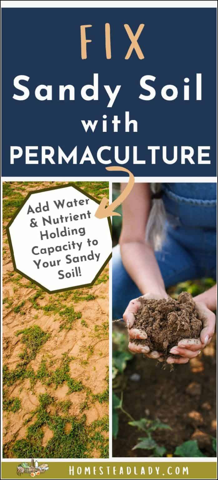 How to Fix Sandy Soil with Permaculture • Homestead Lady