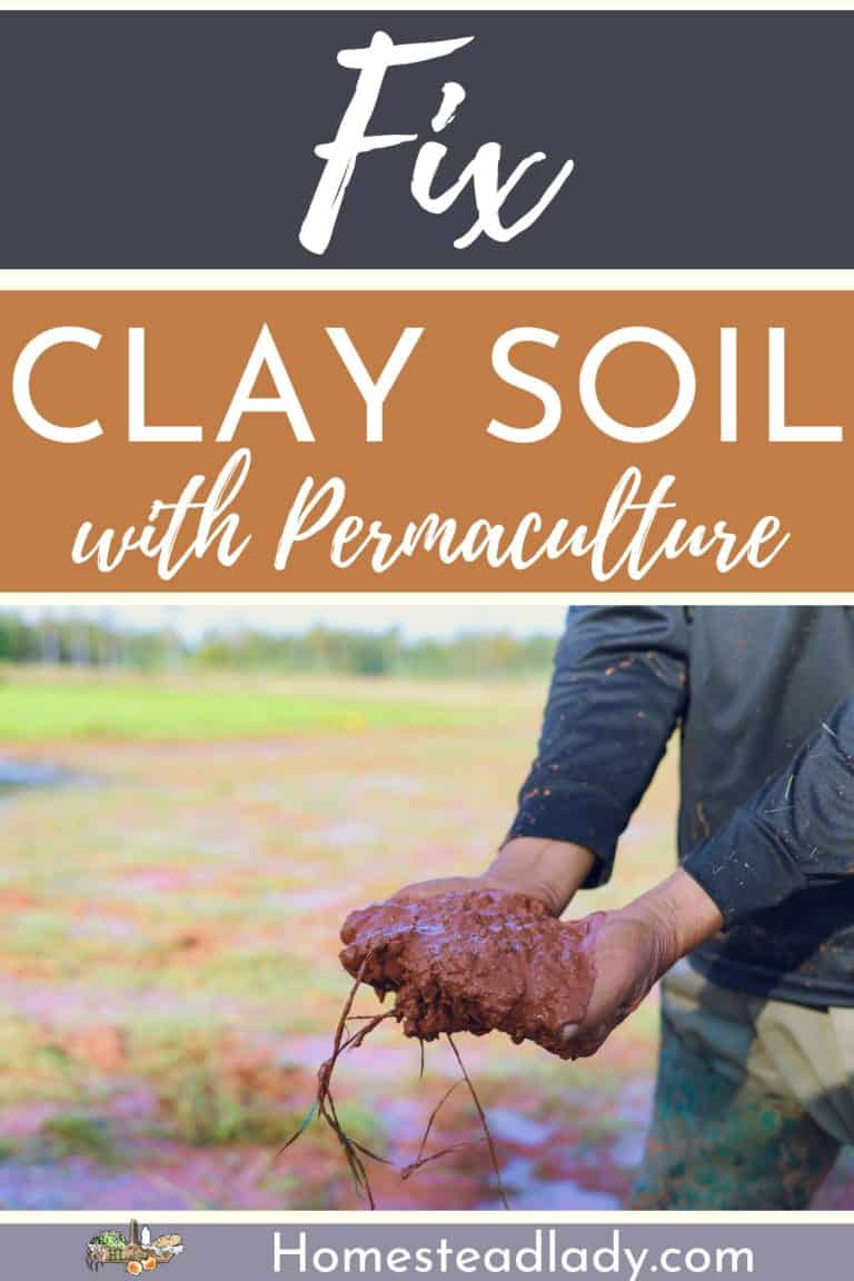 How to Amend Clay Soil • Homestead Lady
