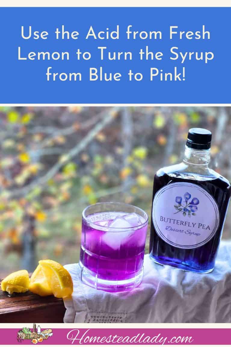 How to Make Butterfly Pea Flower Syrup • Homestead Lady