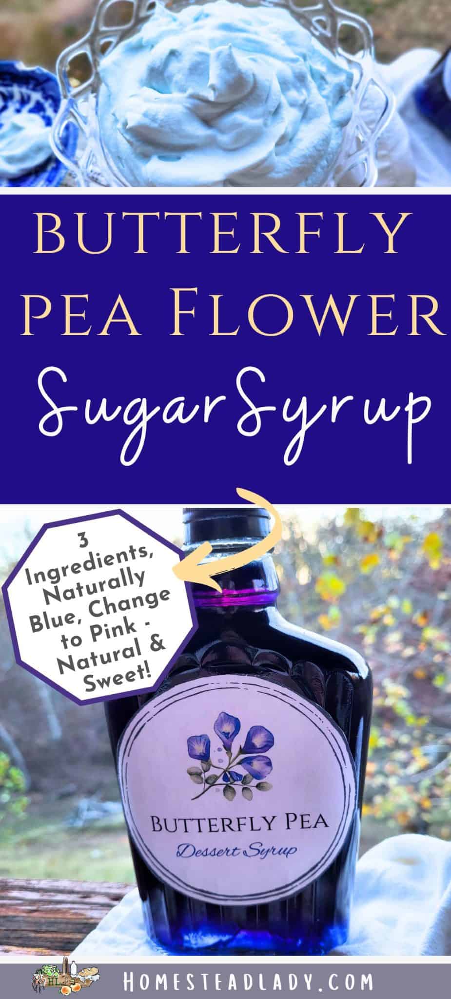 How to Make Butterfly Pea Flower Syrup • Homestead Lady