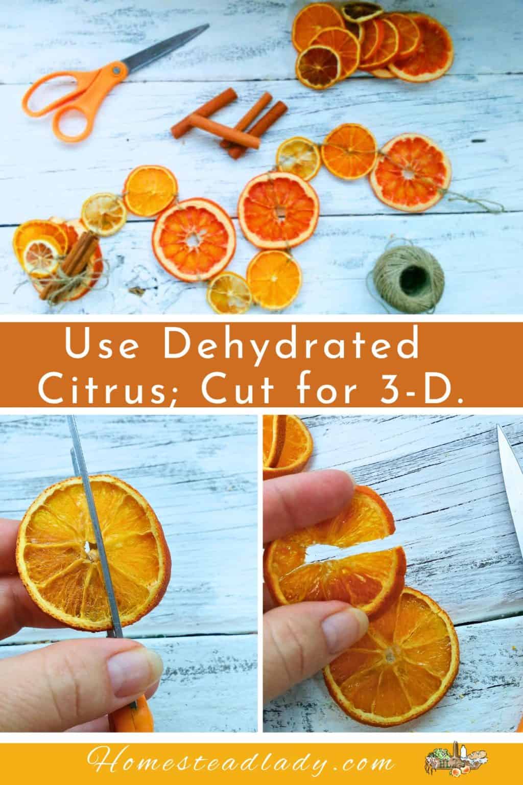 Eco Friendly Orange Slice Ornaments (with Herbs) • Homestead Lady