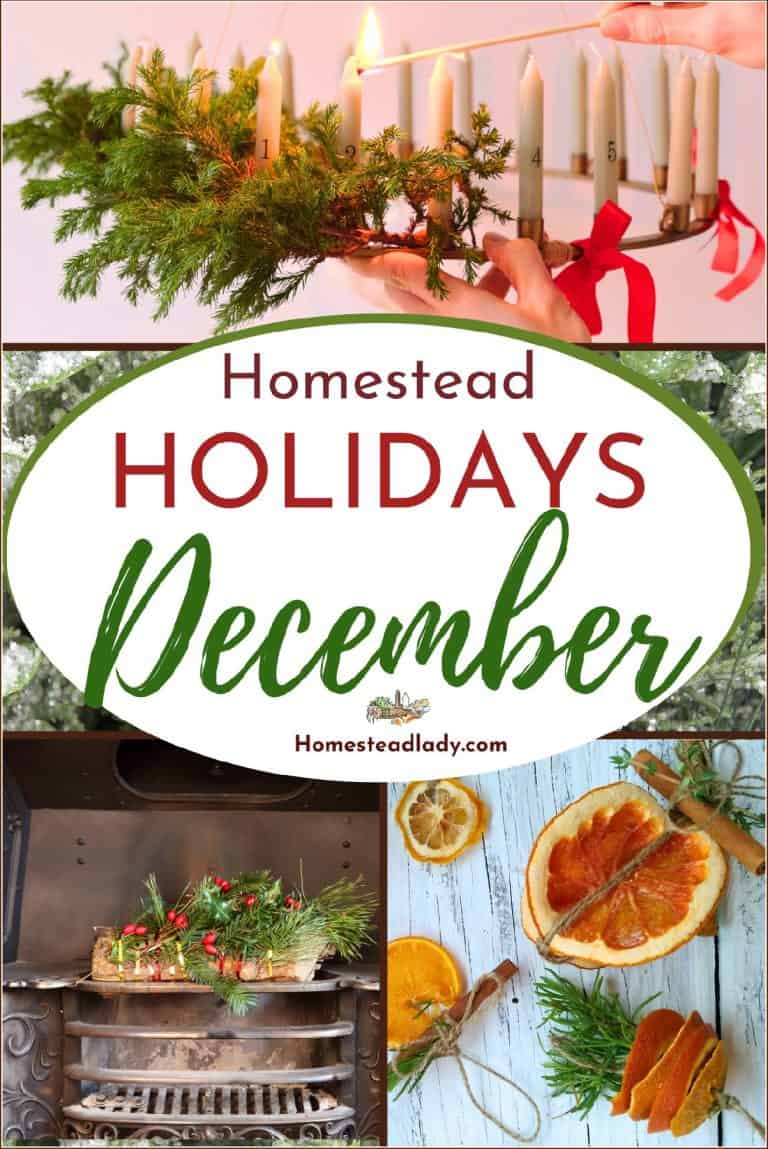 Homestead Holidays in December • Homestead Lady