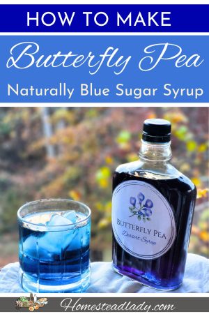 How to Make Butterfly Pea Flower Syrup • Homestead Lady