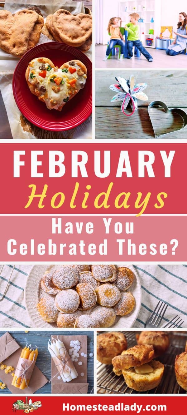 Homestead Holidays in February • Homestead Lady