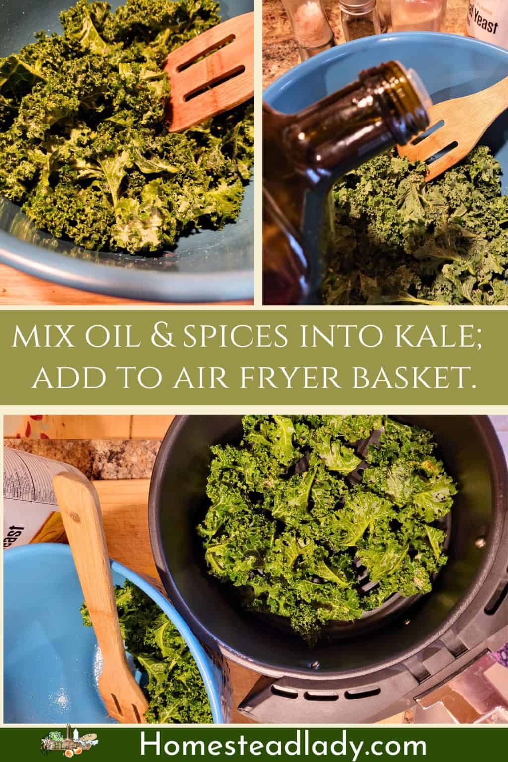 Make Small Batch Air Fryer Kale Chips • Homestead Lady