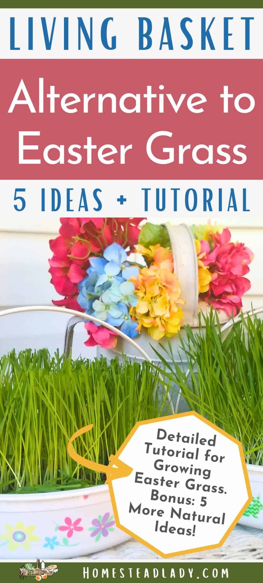 Alternative to Easter Grass: Living Easter Basket Tutorial • Homestead Lady