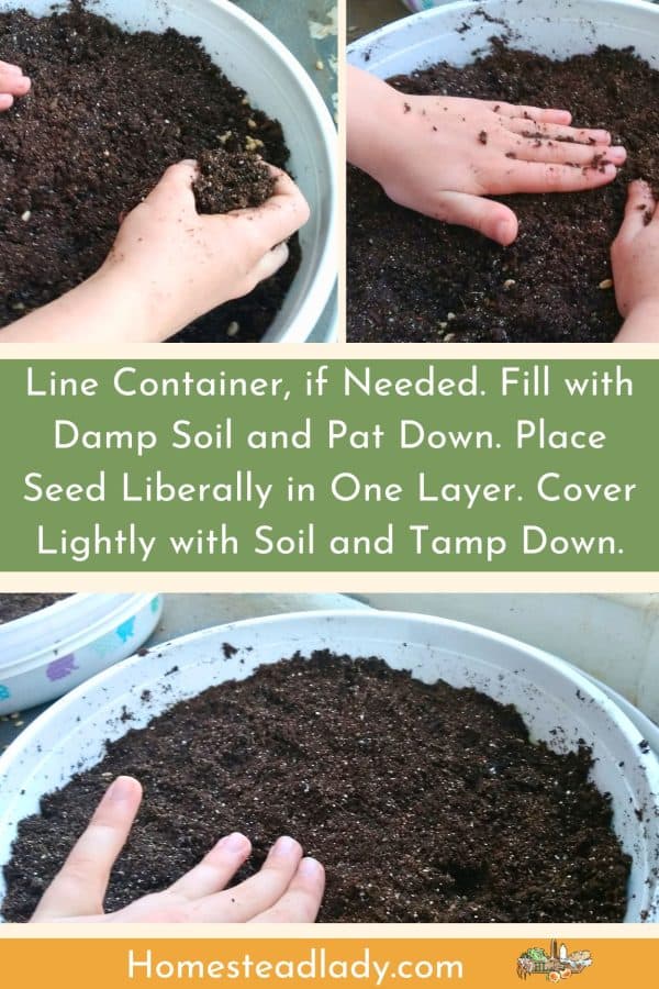 Alternative to Easter Grass: Living Easter Basket Tutorial • Homestead Lady