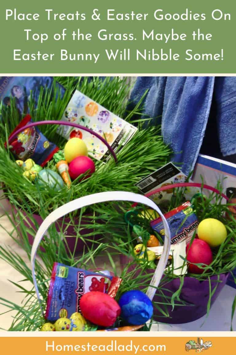 Alternative to Easter Grass: Living Easter Basket Tutorial • Homestead Lady
