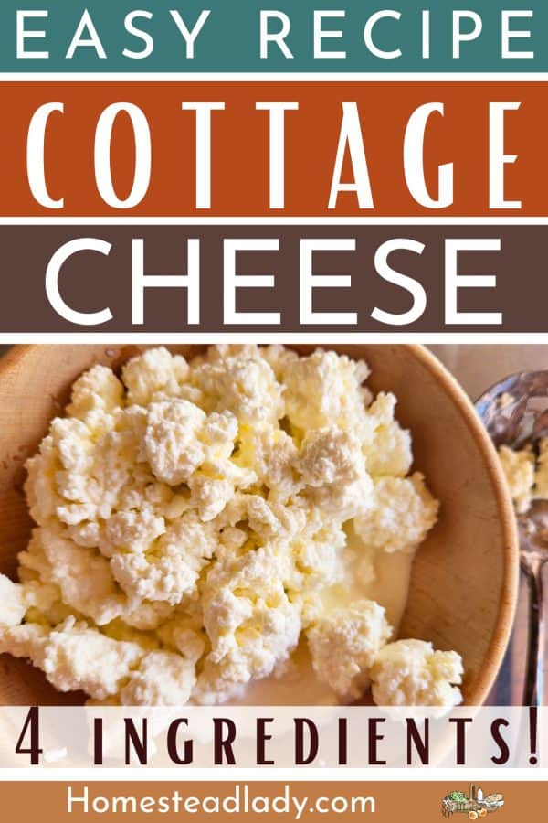 Easy Cottage Cheese Recipe • Homestead Lady
