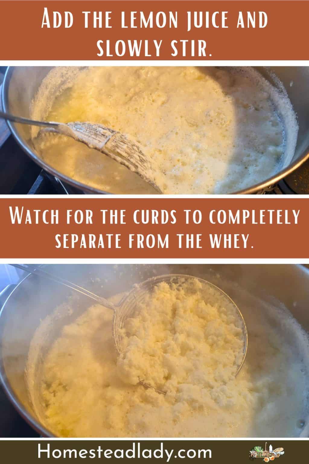 Easy Cottage Cheese Recipe • Homestead Lady