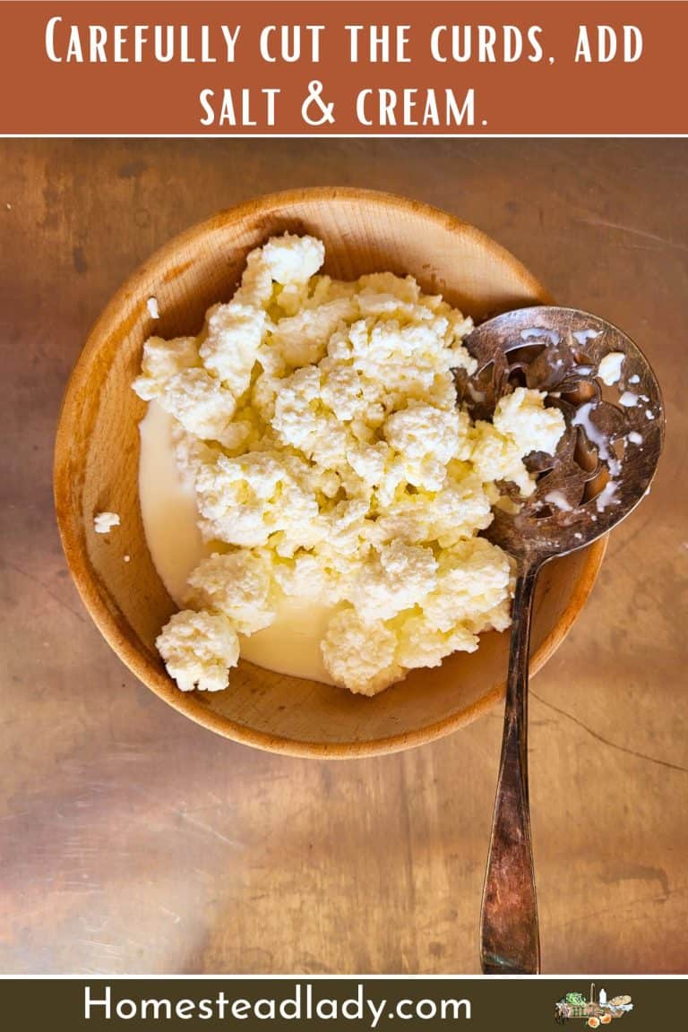 Easy Cottage Cheese Recipe • Homestead Lady