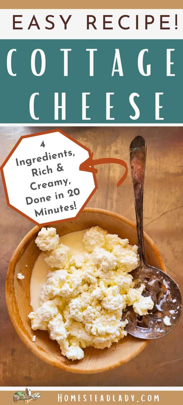 Easy Cottage Cheese Recipe • Homestead Lady