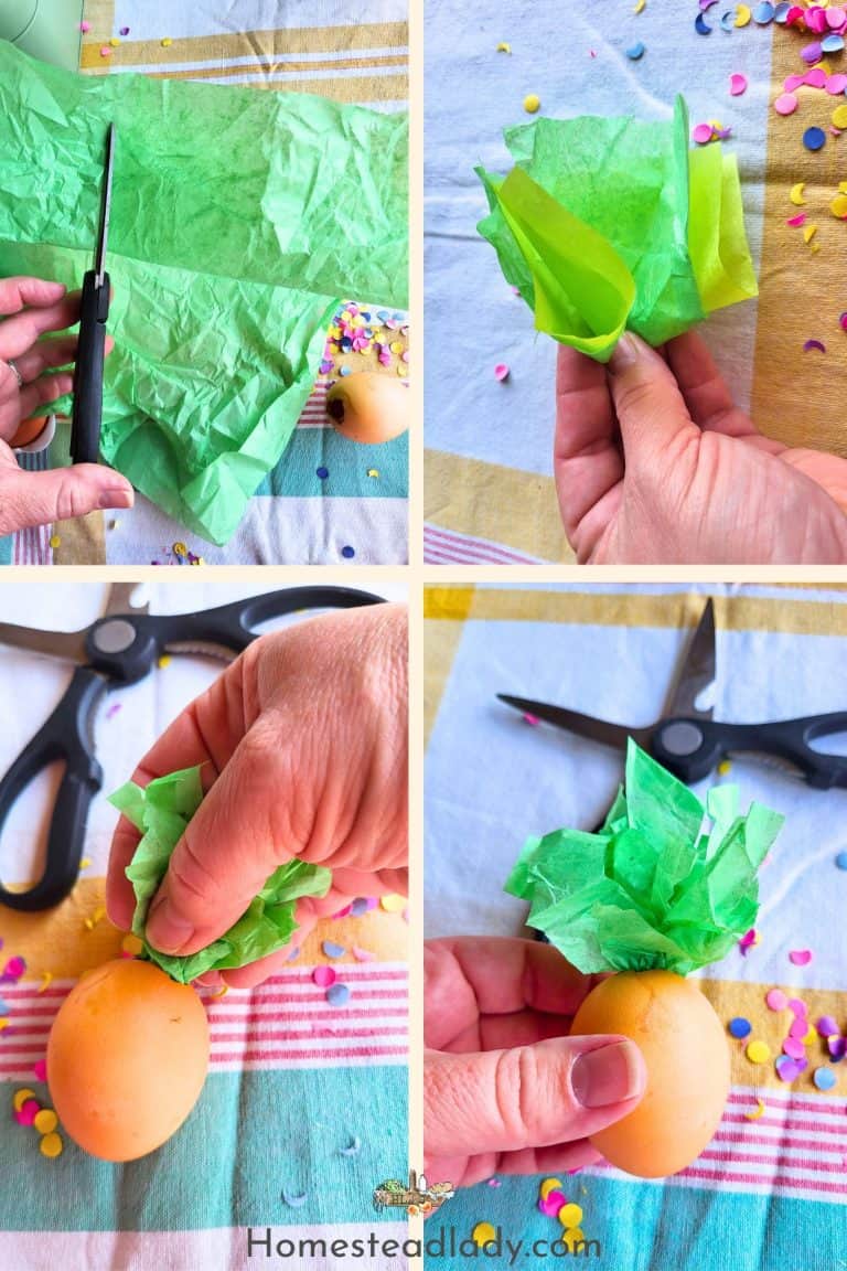 Homemade Confetti Eggs: Carrot Cascarones for Easter • Homestead Lady